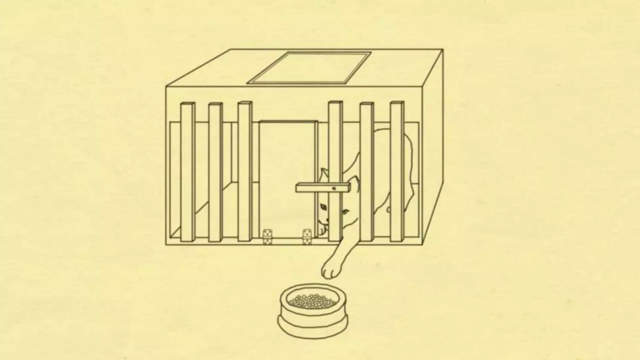 EDWARD THORNDIKE.pptx