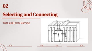 EDWARD THORNDIKE.pptx