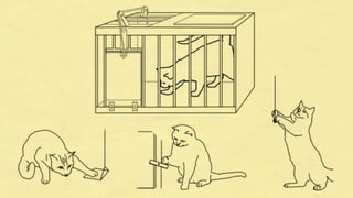 EDWARD THORNDIKE.pptx