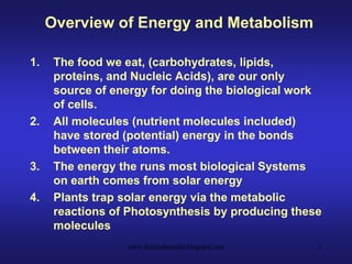 Metabolism | PPT