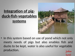 Integrated farming system by Chc students.pptx