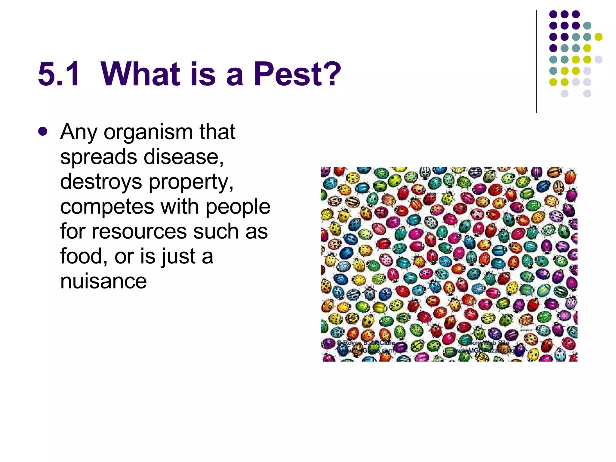 Chapter 5 Notes: Pest Managment | PPT