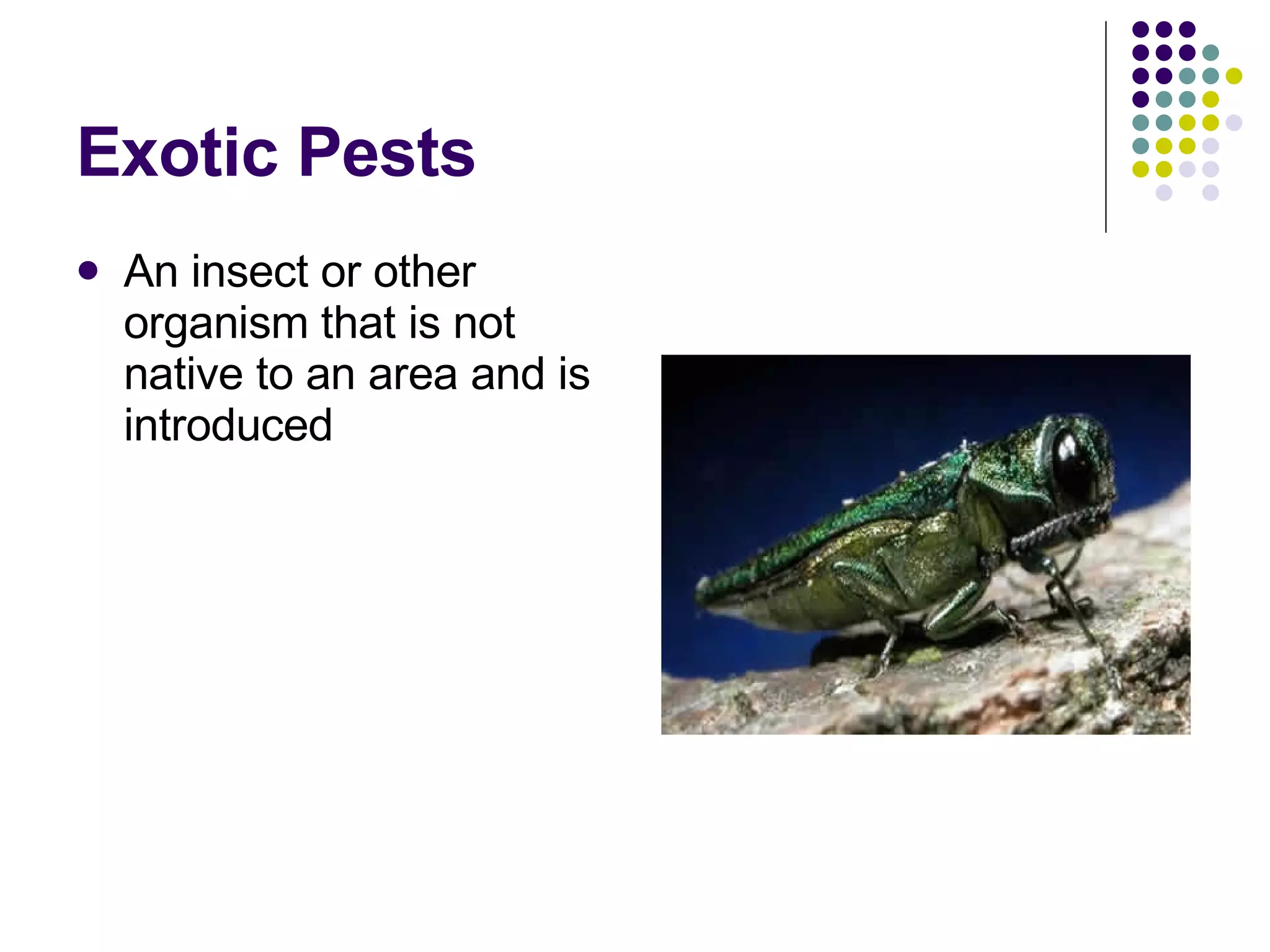 Chapter 5 Notes: Pest Managment | PPT | Agriculture | Industries