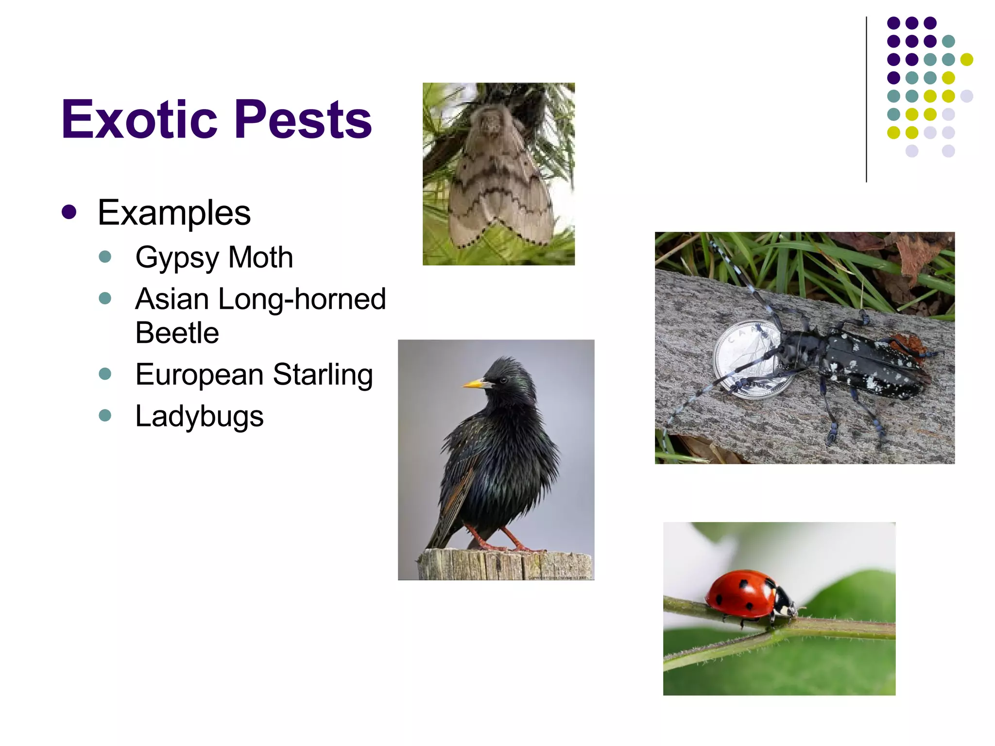 Chapter 5 Notes: Pest Managment | PPT | Agriculture | Industries