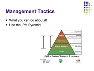 Chapter 5 Notes: Pest Managment | PPT | Agriculture | Industries