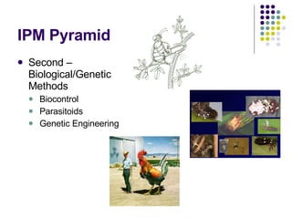 Chapter 5 Notes: Pest Managment | PPT | Agriculture | Industries