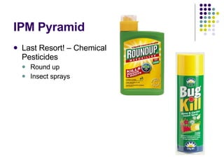 Chapter 5 Notes: Pest Managment | PPT