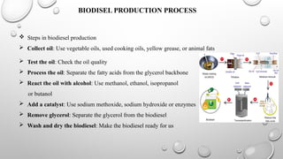 ee case study and evaluation of biodiesel | PPT