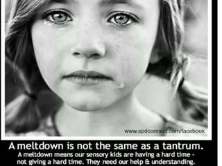 SWAT TEAM Presentation | PPT