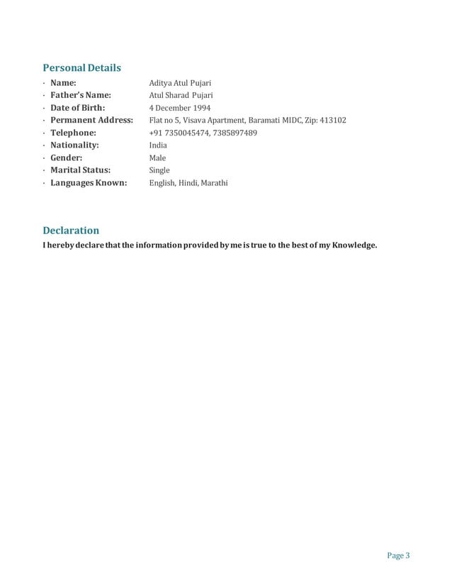 Resume | DOCX | Programming Languages | Computing