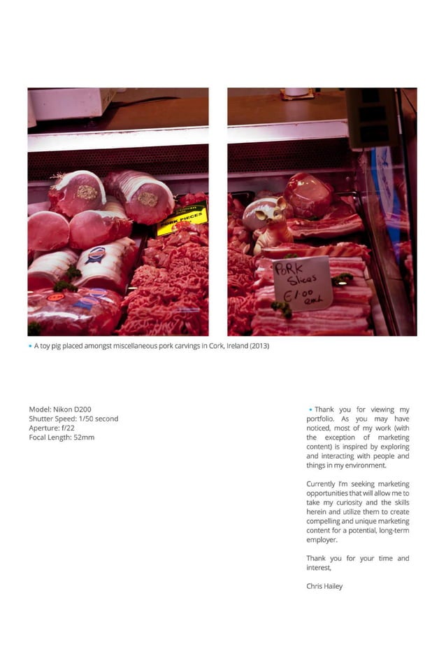 Chris+Hailey+Portfolio+2017.compressed | PDF