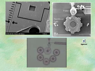 Semiconductor devices and presentation.ppt