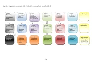 BSc Environmental Health | PDF
