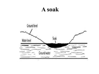 Importance of water | PPTX