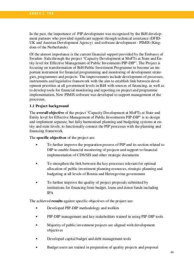 PIP-DIP_Evaluation_Report