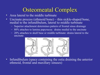 Ee3a Coclia70 Sinus Surgery | PPT