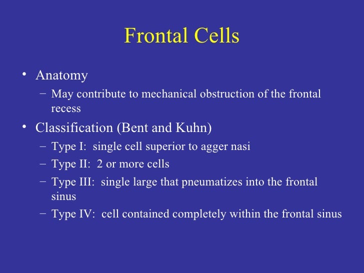 Ee3a Coclia70 Sinus Surgery