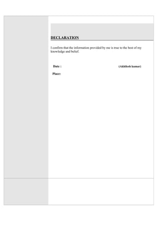 NEW RESUME akhilesh (2) | DOC