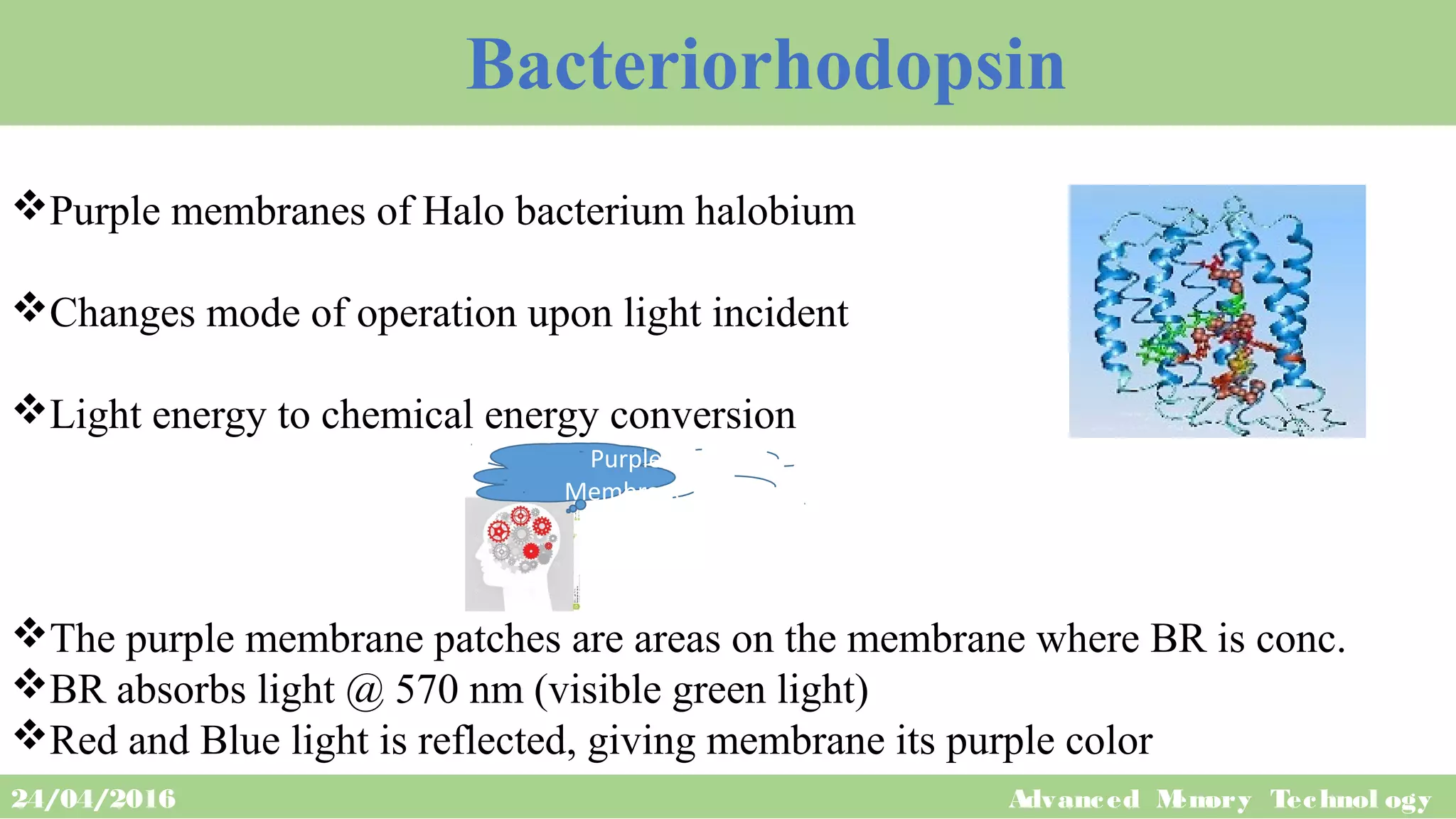 The protein memory | PPT