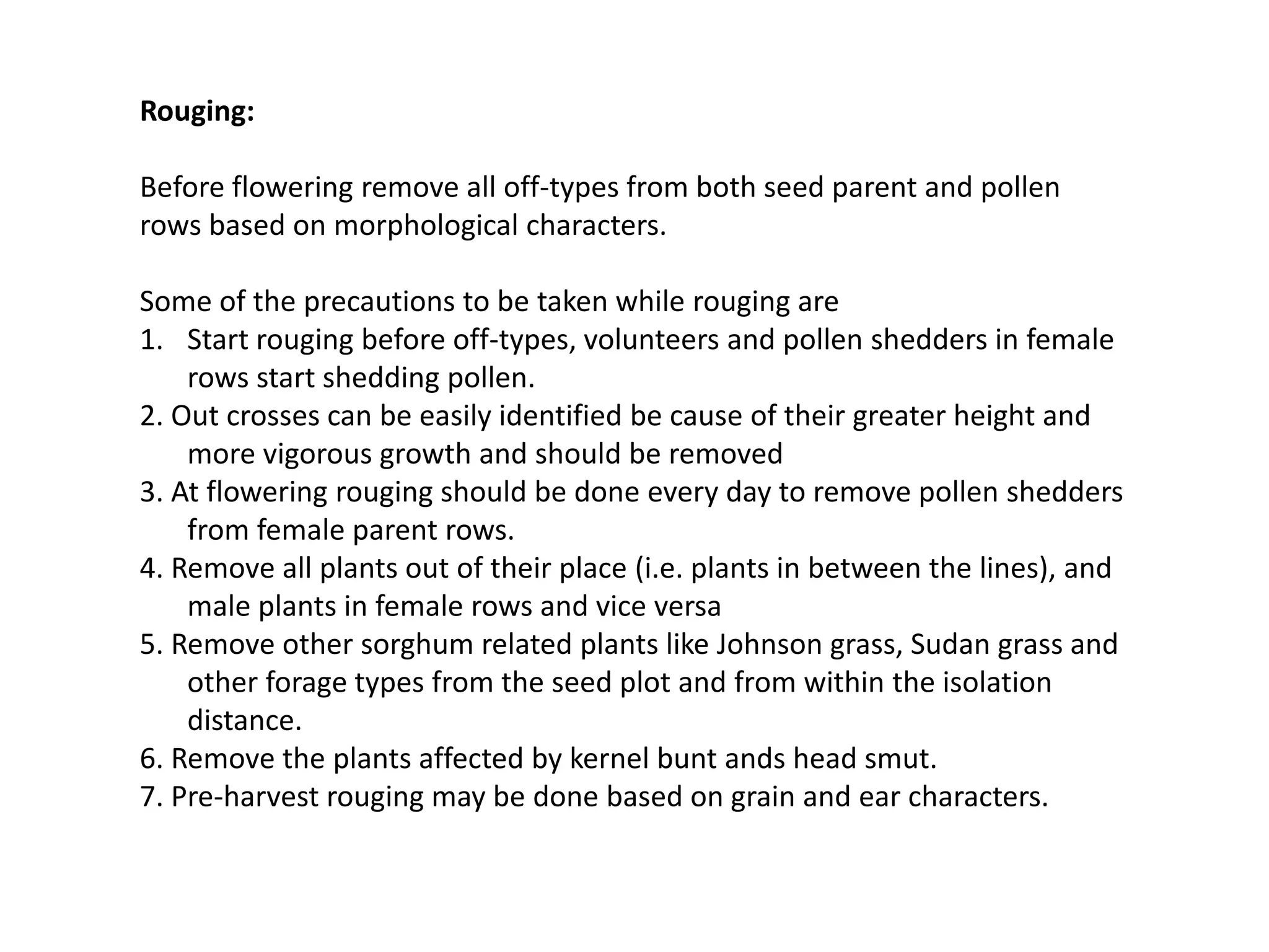 Hybrid seed production of sorghum crop. | PPTX