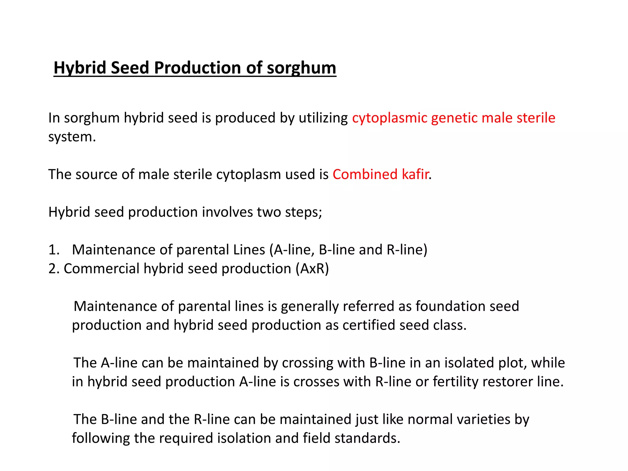 Hybrid seed production of sorghum crop. | PPTX