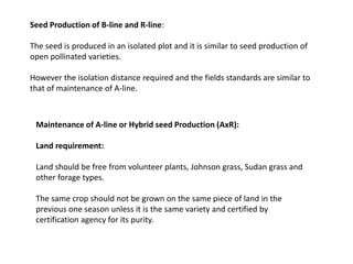 Hybrid seed production of sorghum crop. | PPTX