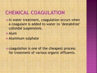 kazim tanveer | PPTX