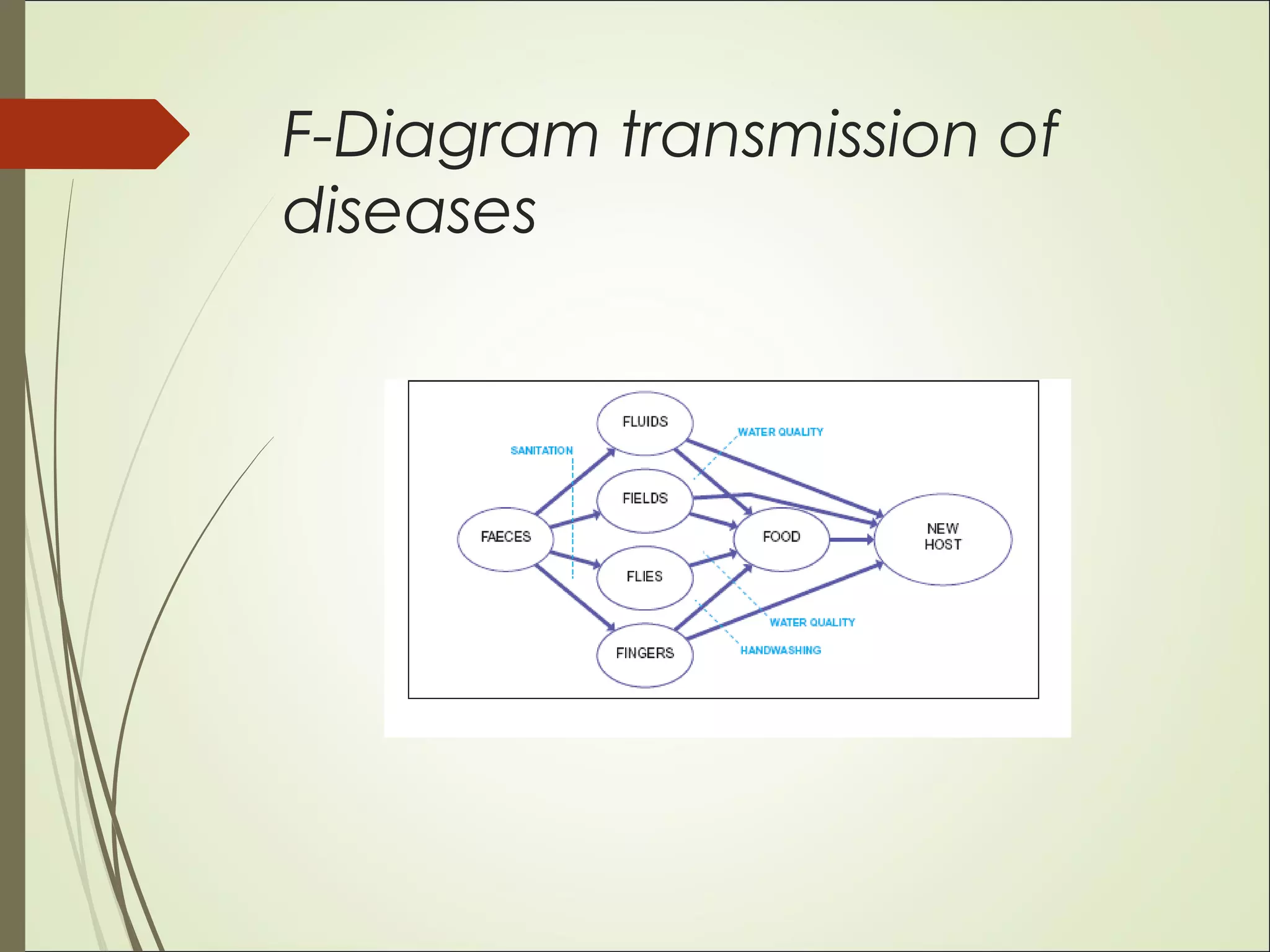 Training for Hygiene Promotion | PPT