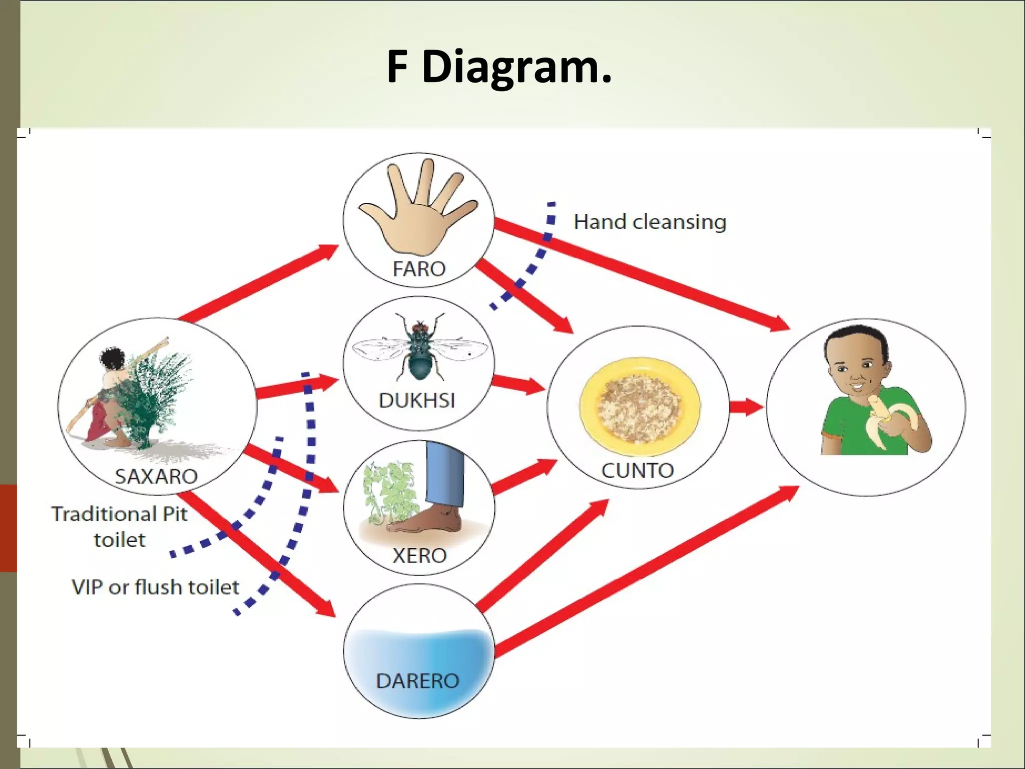 Training for Hygiene Promotion | PPT