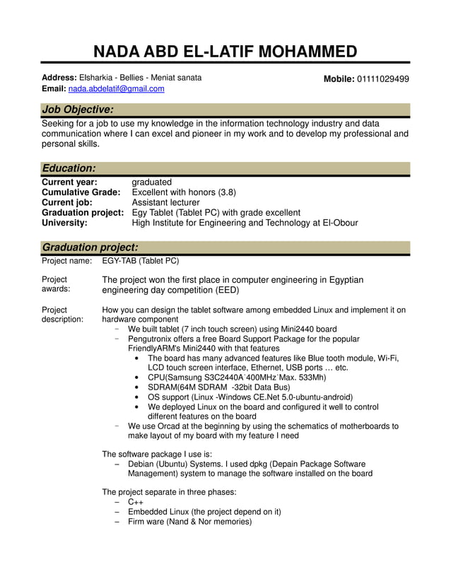 Nada_CV_no_table_boarder | PDF