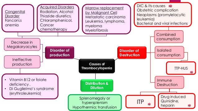 Causes For Low Platelets In Adults - sokoltours