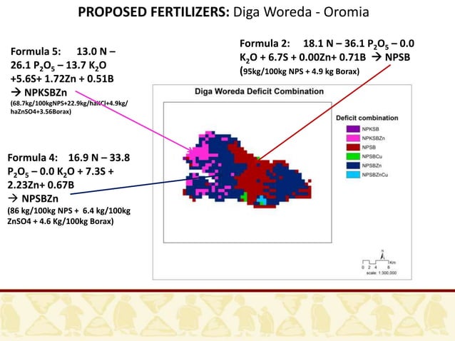 Digital Soil Mapping: soil fertility status and fertilizer ...