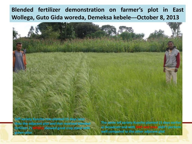 Digital Soil Mapping: soil fertility status and fertilizer ...
