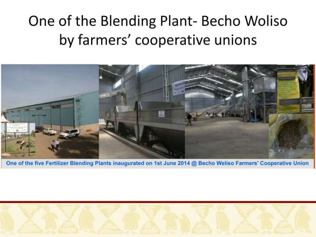 Digital Soil Mapping: soil fertility status and fertilizer ...