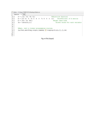 Linear Programming Project | DOCX
