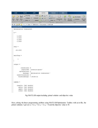 Linear Programming Project | PDF