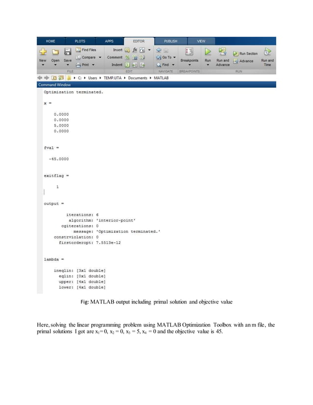 Linear Programming Project | PDF