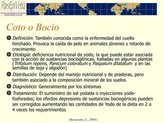 Diagnóstico de las principales enfermedades que afectan la producción ...