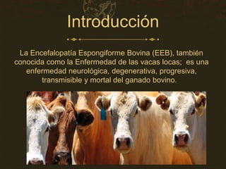 EEB prion | PPTX