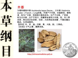 木香RADIX AUCKLANDIAE | PPT