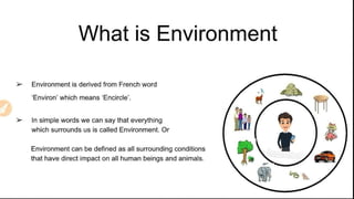 Concept of the Environment | PPTX
