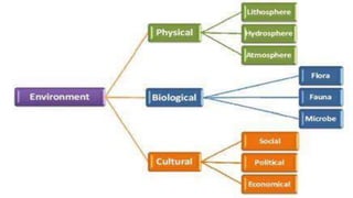 Concept of the Environment | PPTX