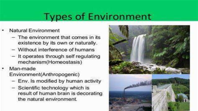 Concept of the Environment | PPTX