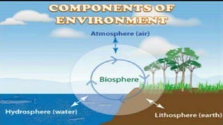 Concept of the Environment | PPT