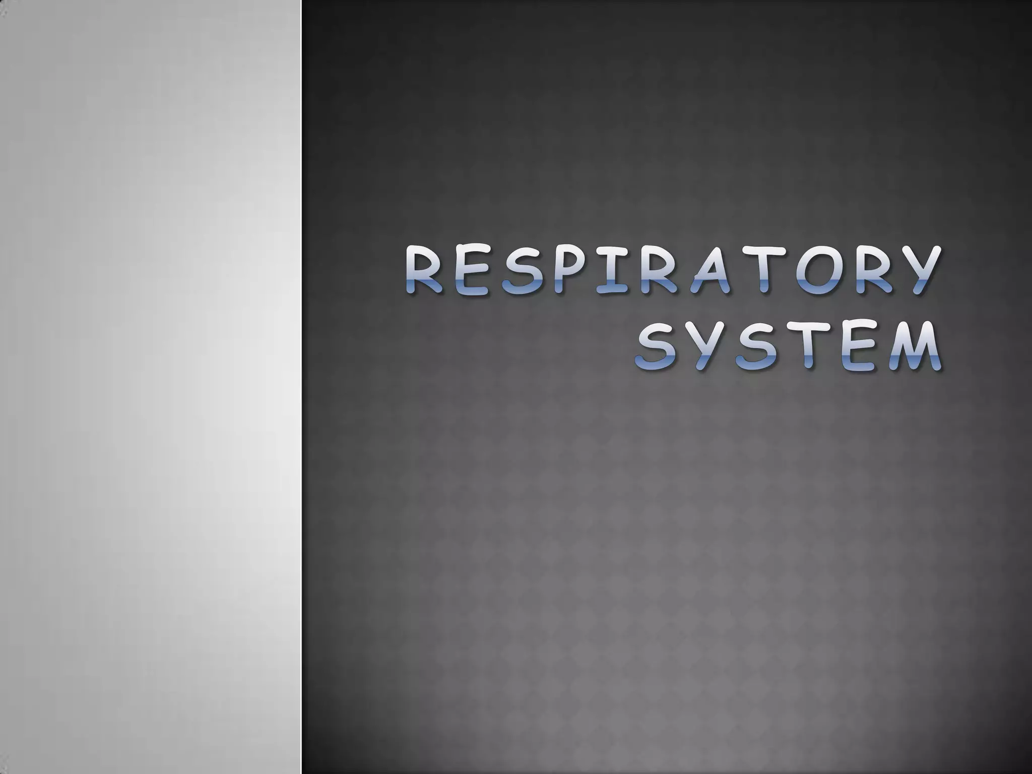 Respiratory System | PPTX