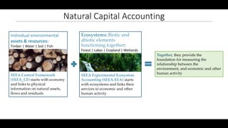 Role of SEEA Framework for Valuation of Natural Resources | PPTX