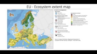 Role of SEEA Framework for Valuation of Natural Resources | PPTX