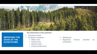 Role of SEEA Framework for Valuation of Natural Resources | PPTX
