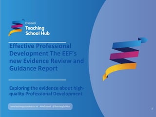 EEF guidance report and the ECT programme | PDF