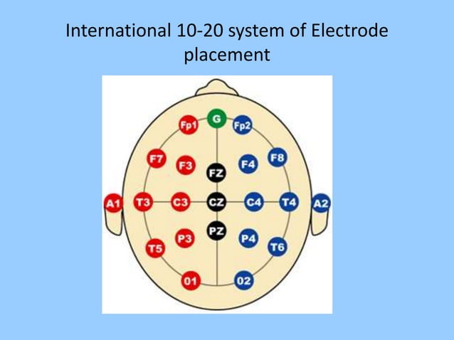 Eeg in pediatric (DNB PEDIATRIC) | PPTX | Brain and Nervous System ...